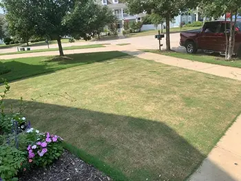Why Lawn Scalping Should Be Included In Spring Yard Prep