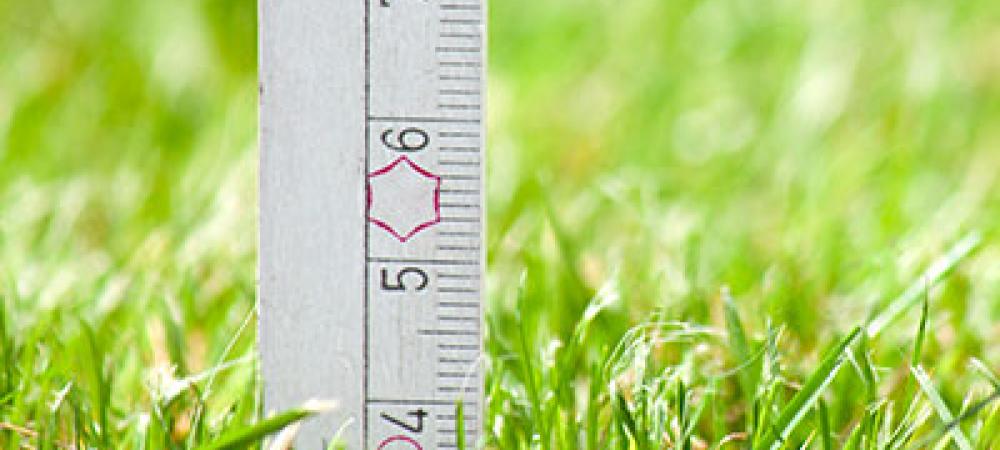 Why Lawn Scalping Should Be Included In Spring Yard Prep